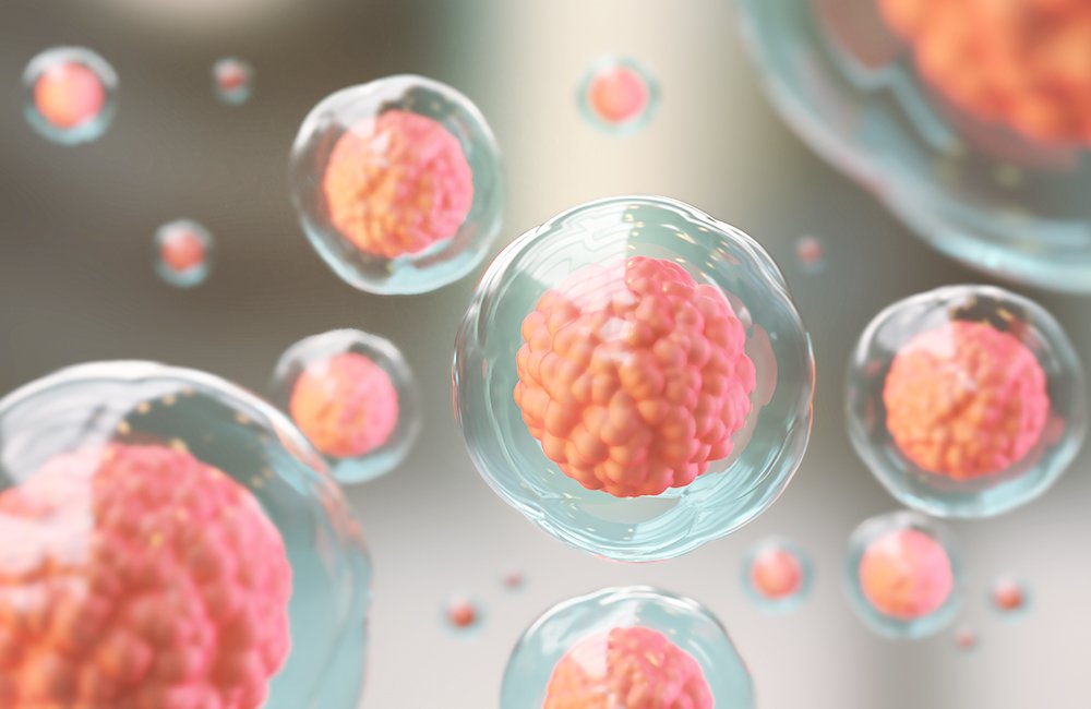 Securicord - America's Trusted Cord Blood Bank