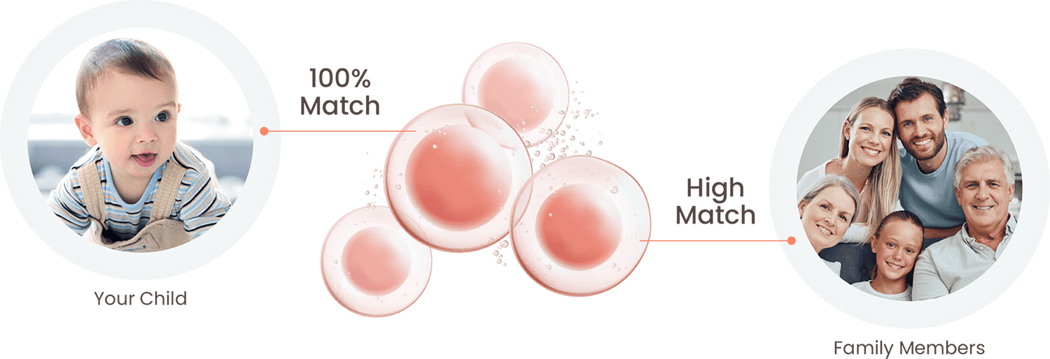What are Newborn Stem Cells? - Securicord