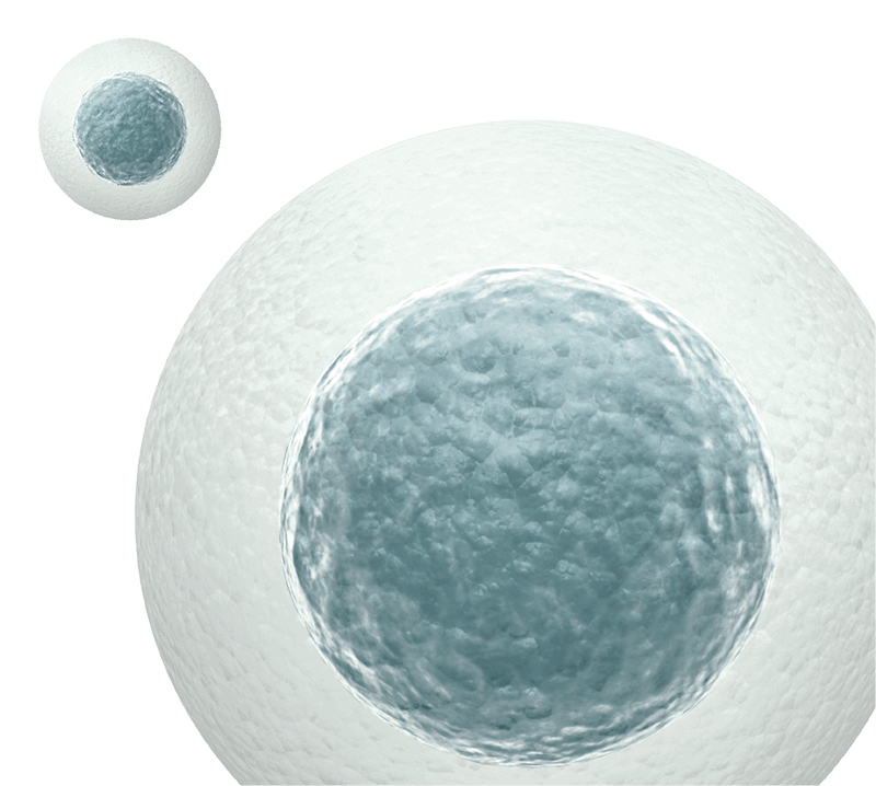 Cord Blood Banking Made Affordable